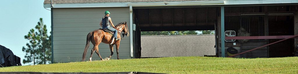 Download Php Master: Write Cutting Edge Code